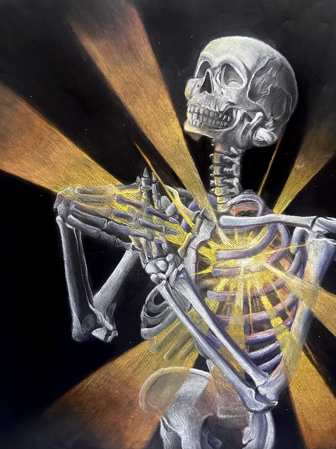 Solanco High School Student Named Finalist in 11th District ...